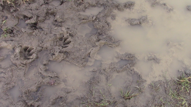 Mathew Wayne Parkin – sodden artist, suspicious writer and sometimes ...