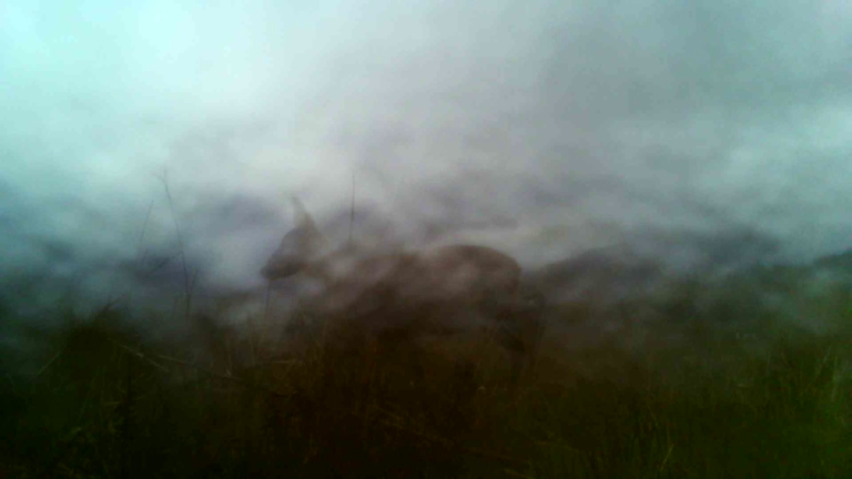 Mathew Wayne Parkin – sodden artist, suspicious writer and sometimes ...